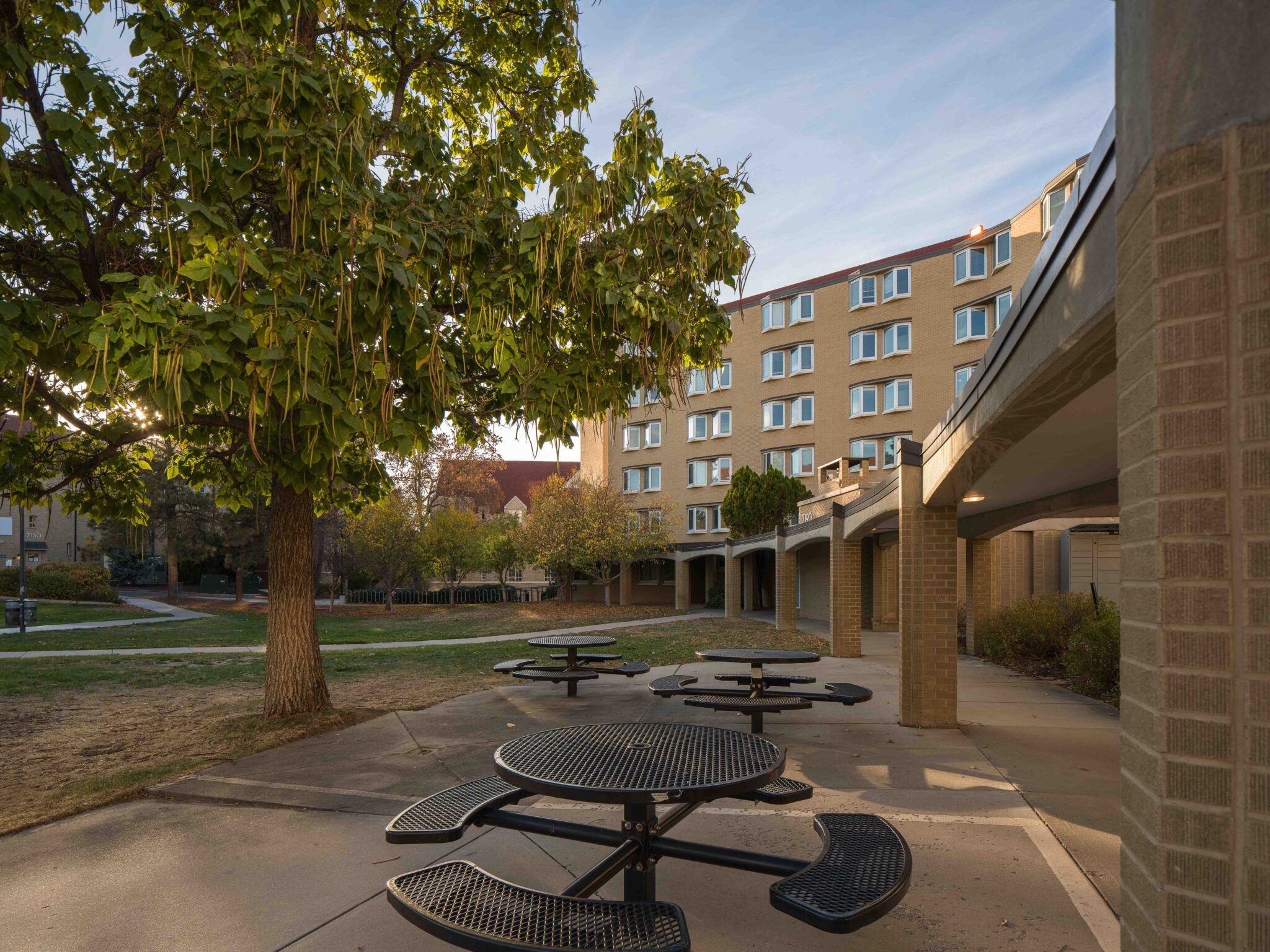 Mosaic Community Campus - Taylor Kohrs